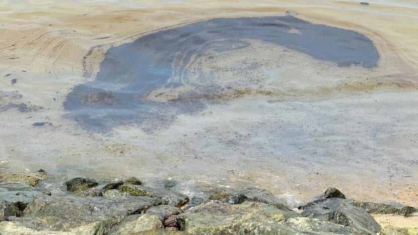 Local fish remain safe to eat, 'low risk' of oil spill spreading to ...