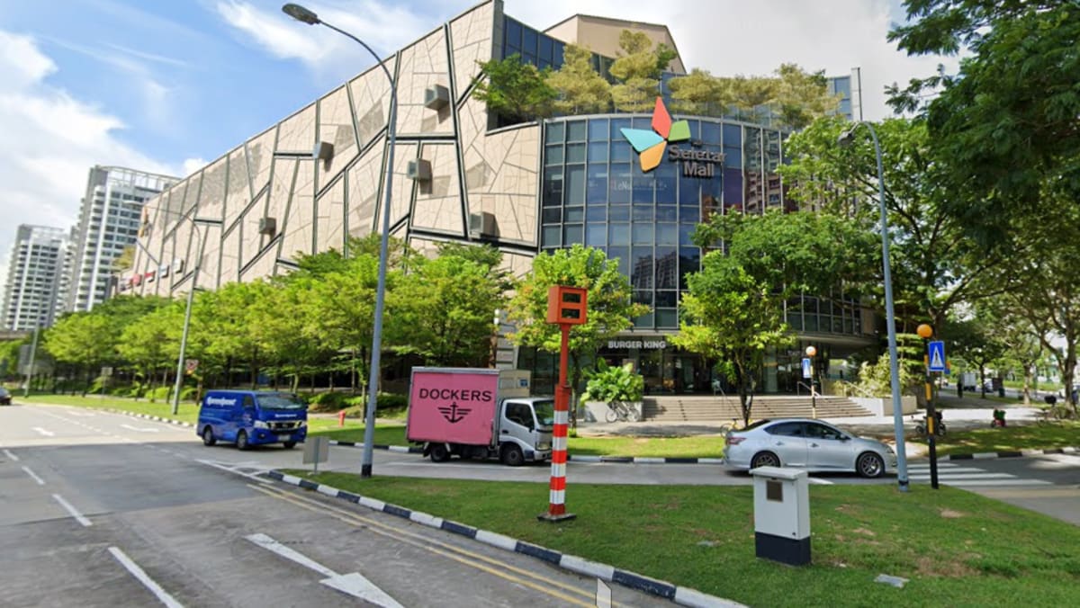 Plaza Singapura and The Seletar Mall among places visited by Covid-19 ...