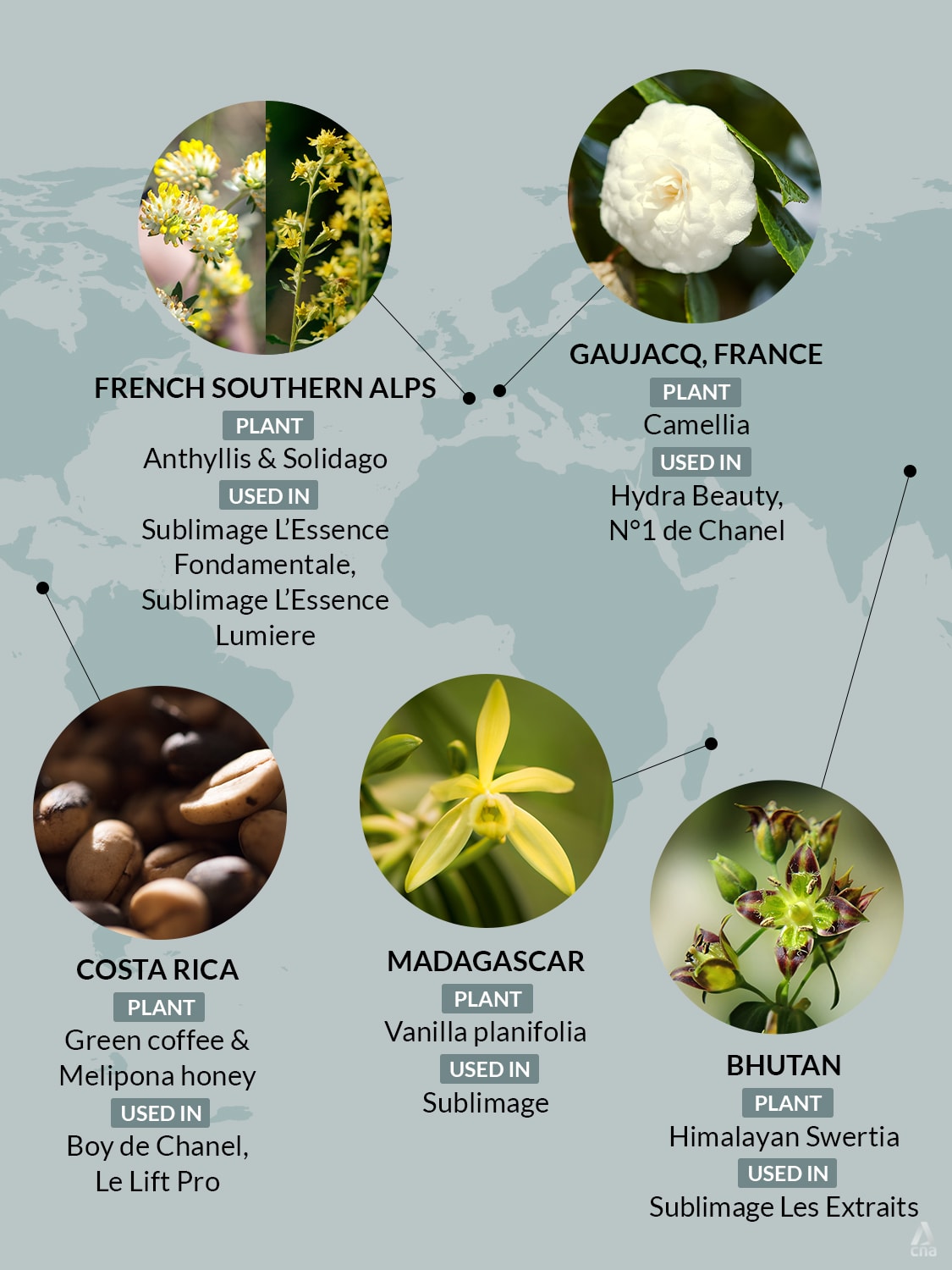 Chanel’s open-sky labs, where skincare ingredients are harvested around ...