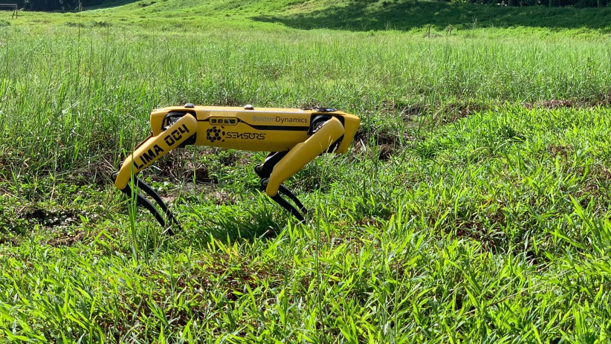 Four-legged robot goes on trial at Bishan-Ang Mo Kio Park to promote ...