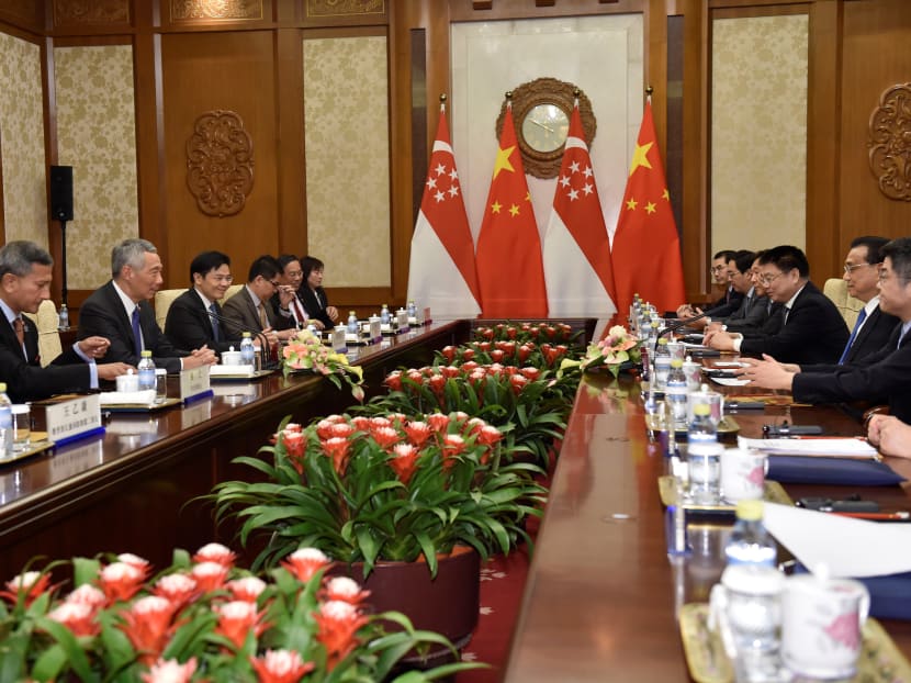 Politburo Standing Committee member appointed as new co-chair of S’pore ...