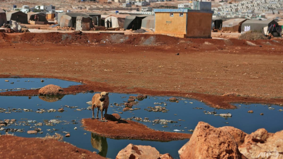 Syria cholera death toll rises to 29: Health ministry - CNA