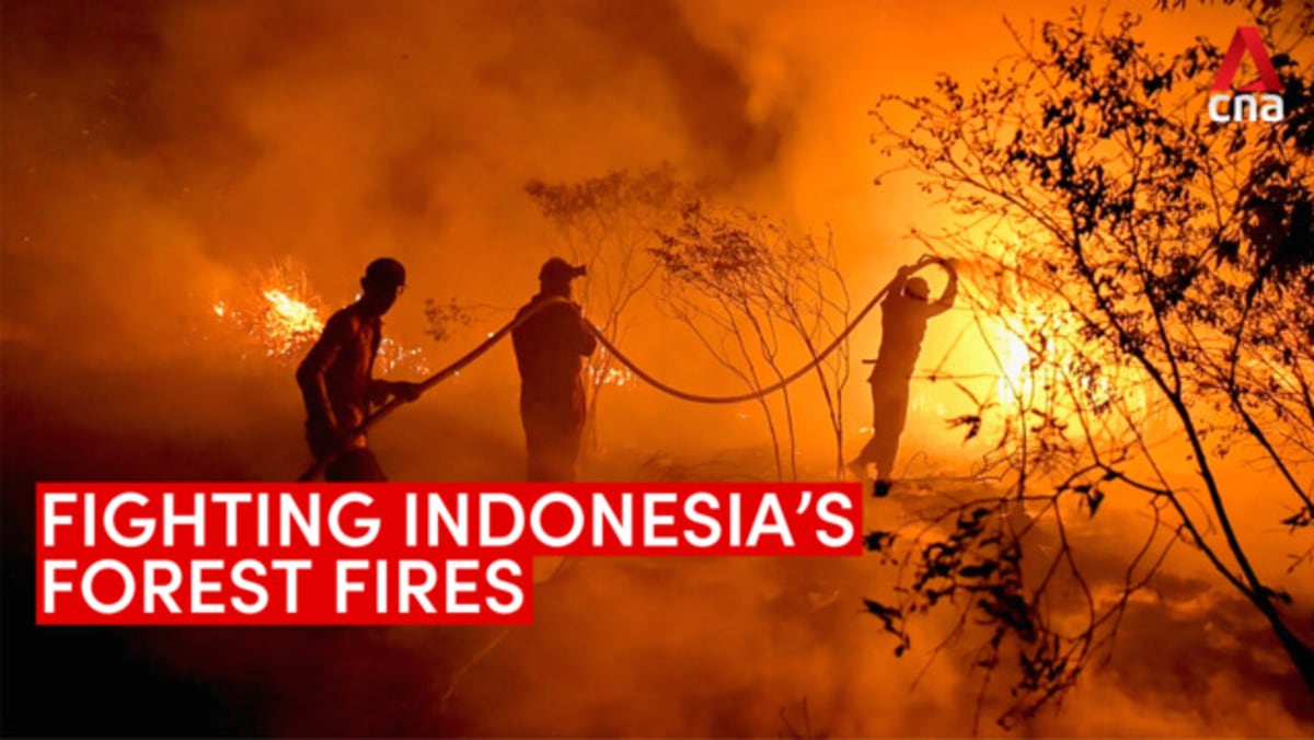 Indonesia's forest fires flare up after a four-year hiatus | Video - CNA