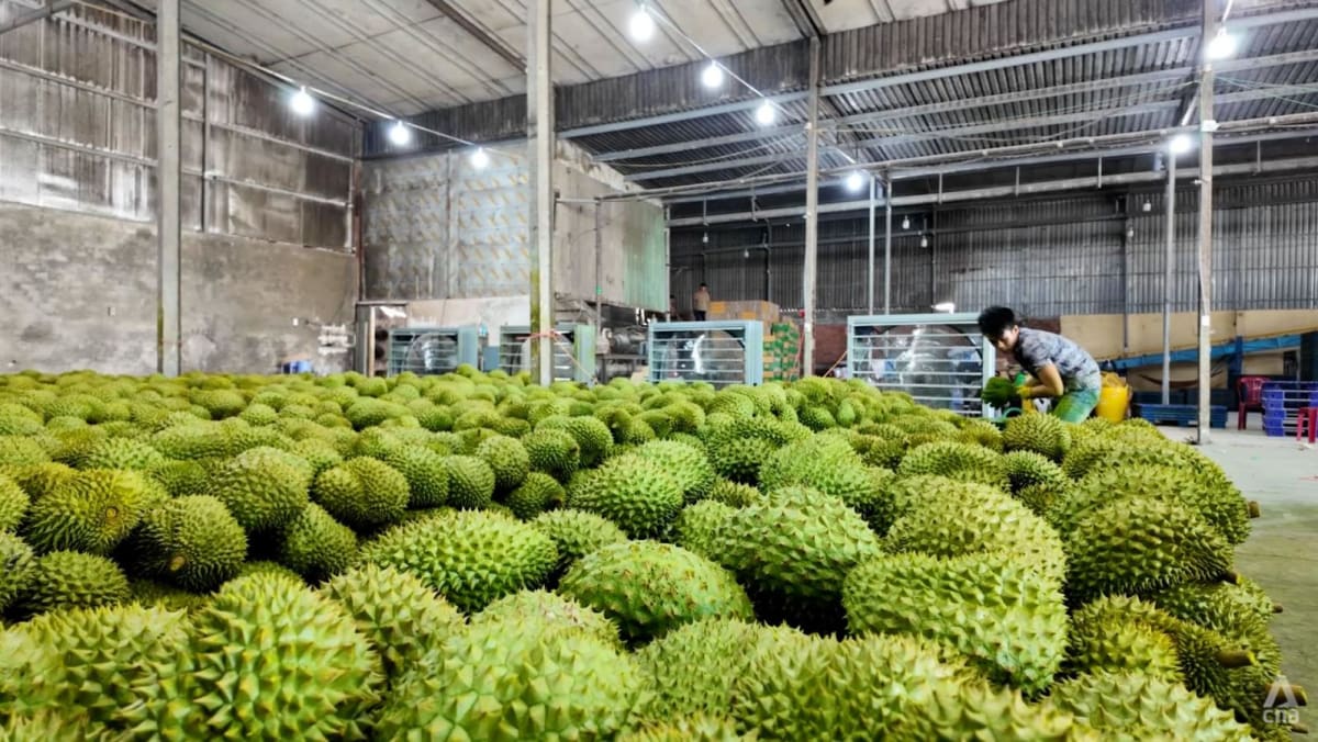 Vietnamese durian farmers face thorny issues that could threaten ...