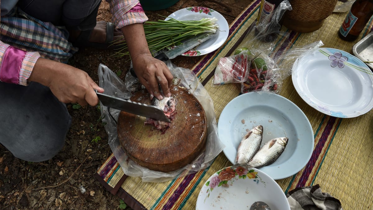 Deadly diet: Thai doctors battle cancer-causing fish dish - TODAY