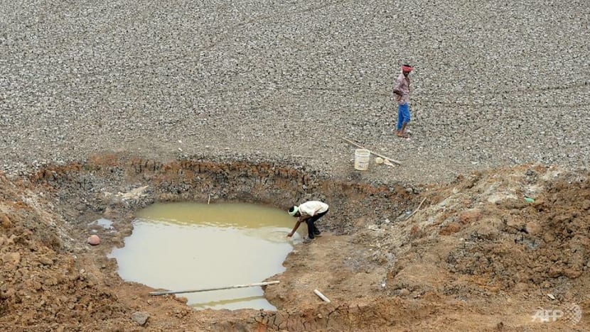 Preserve, revive, restore: Indian ponds spring back to life - CNA