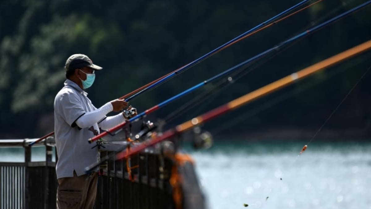 17-year-old apologises to judge for fishing illegally at Bukit Batok ...