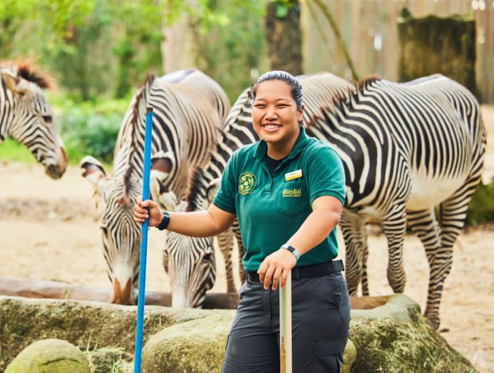 What does it take to be a zookeeper in Singapore? - CNA Lifestyle