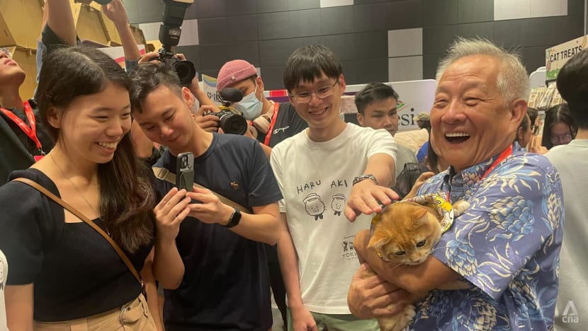 Singapore can have ‘best of three worlds’ if I become President, says ...