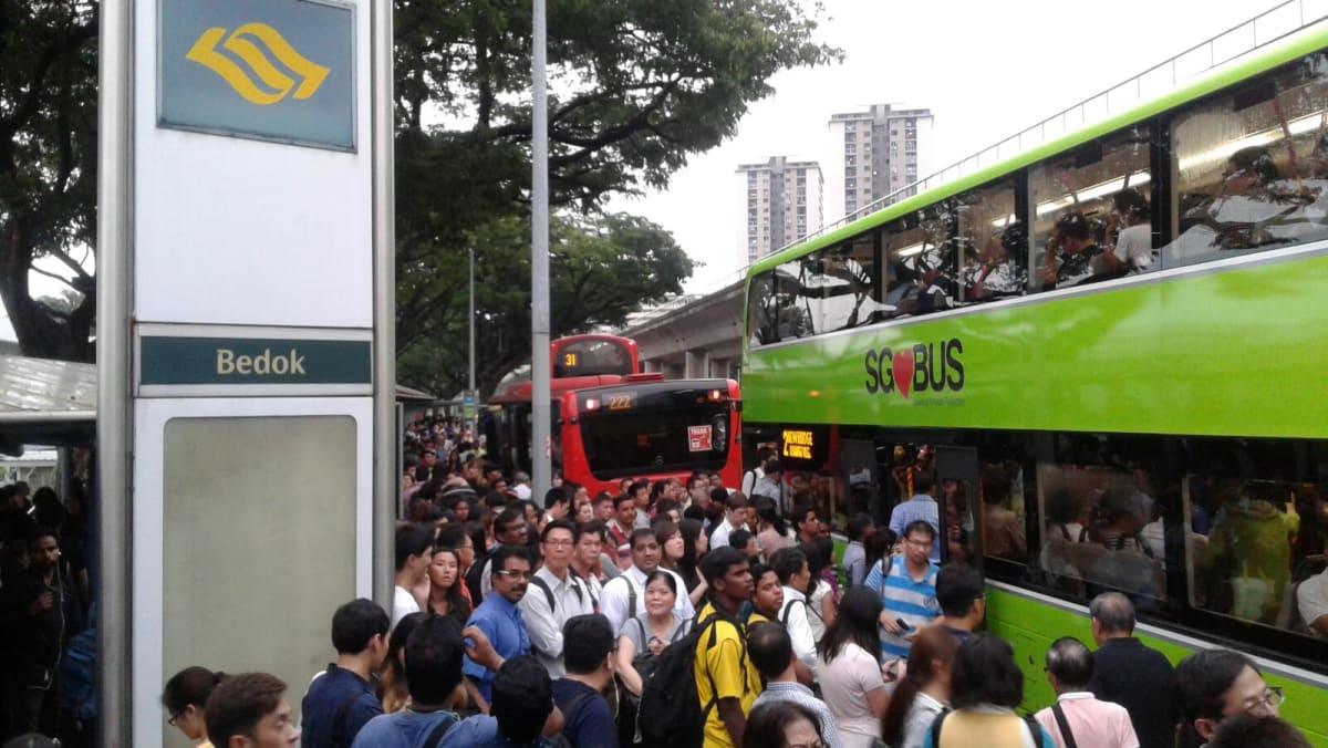 Train fault causes 40-minute delay on SMRT East-West Line - TODAY