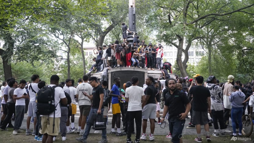 New York park erupts in chaos as live streamer's giveaway goes awry - CNA