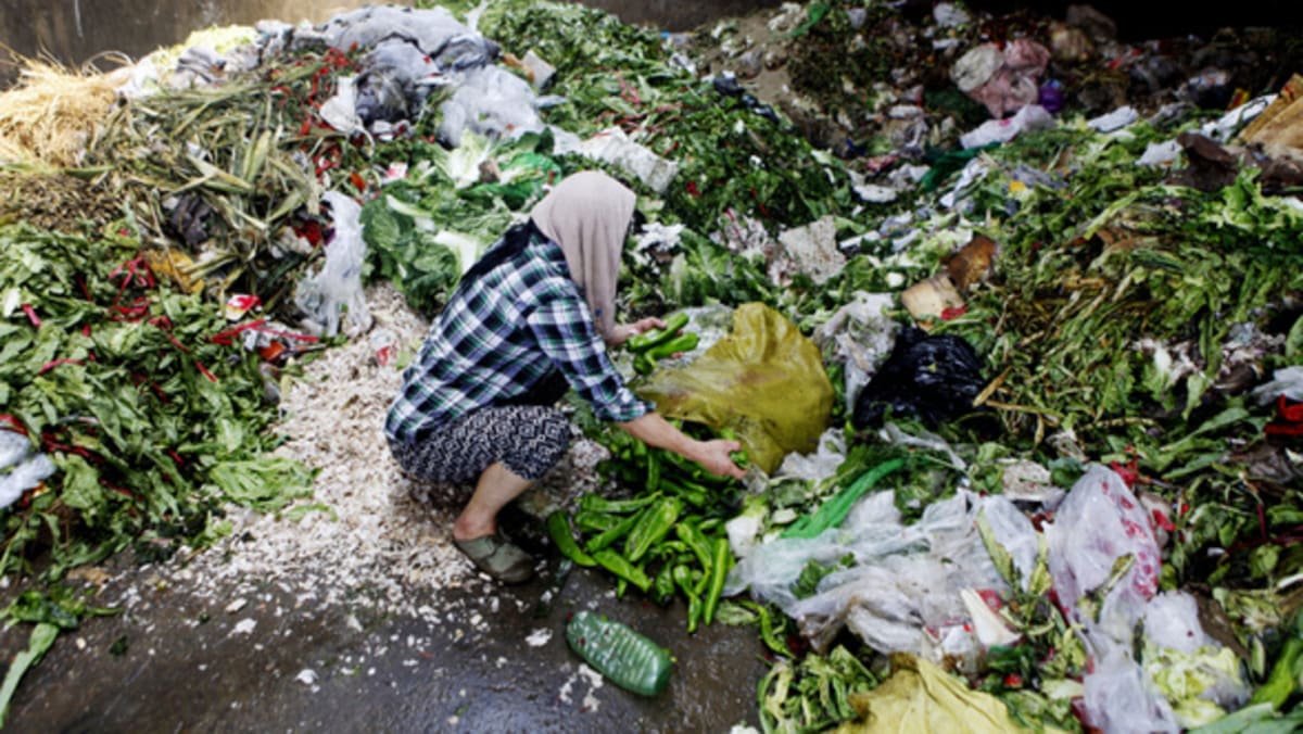 Experts call for more to be done to tackle food waste - TODAY