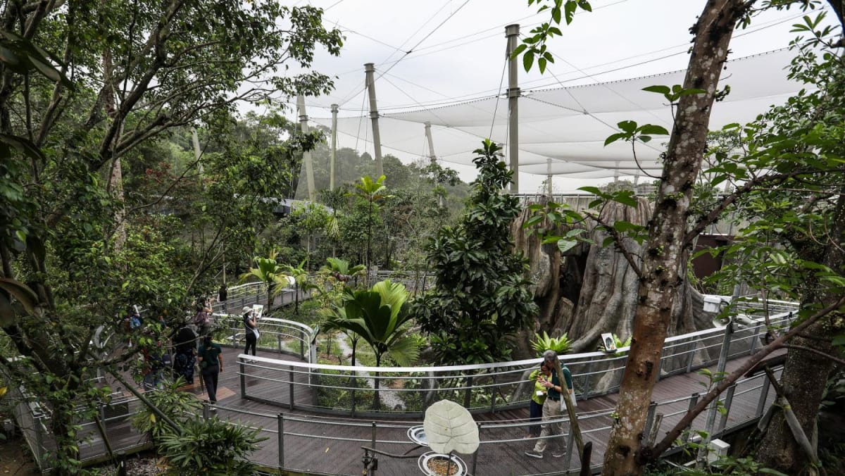 Singapore visitor arrivals up 115% to 13.6 million in 2023 - TODAY