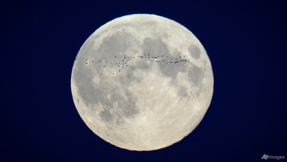 October's supermoon pairs with a comet for a special night-time ...