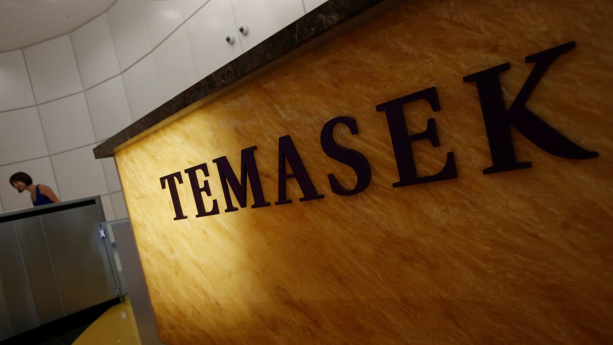Temasek portfolio value jumps 24.5% to record S$381 billion as markets ...