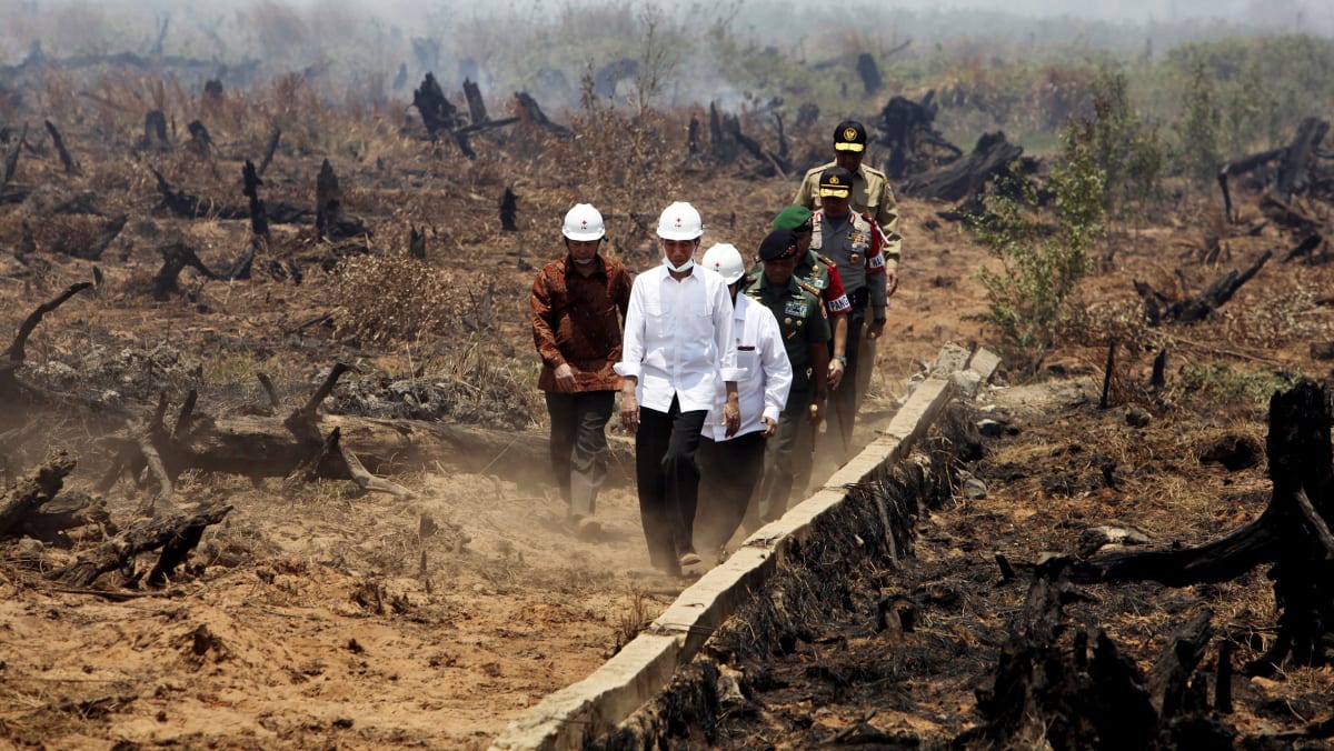 Widodo checks up on efforts to tackle forest blazes in Borneo - TODAY