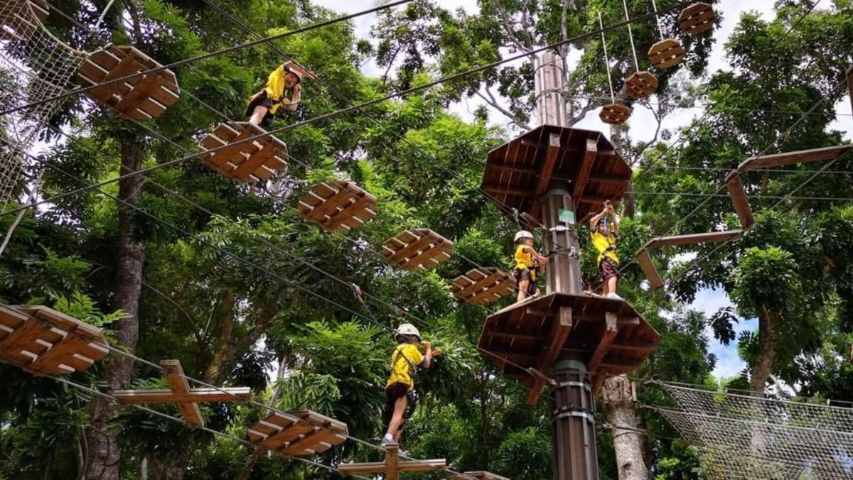 Singapore student's rope course death raises questions over volunteer ...