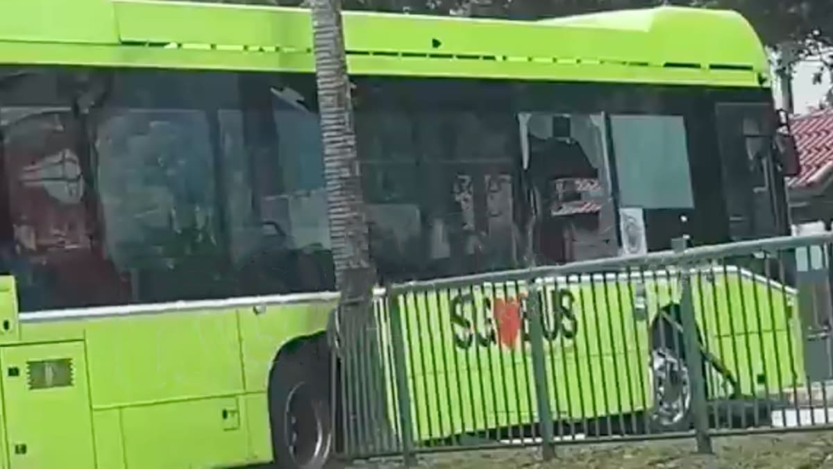 Tower Transit bus driver, 64, suspended after bus crashes through road ...