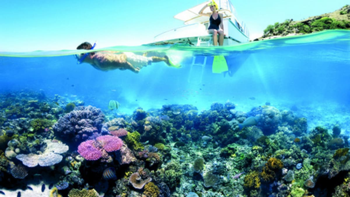 Captivating Cairns - TODAY