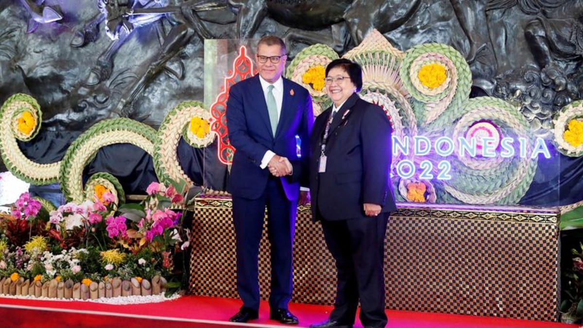 Indonesia seeks G20 buy-in for energy transition agenda - CNA