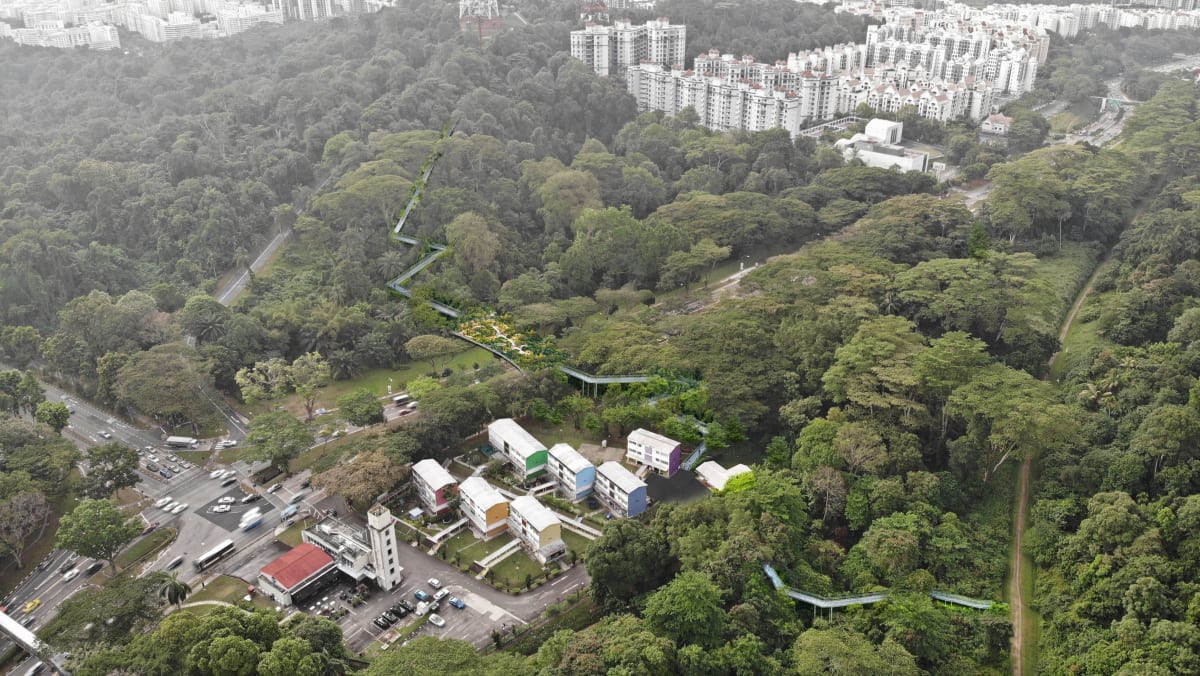 Land use masterplan: What’s in it for your neighbourhood? - TODAY