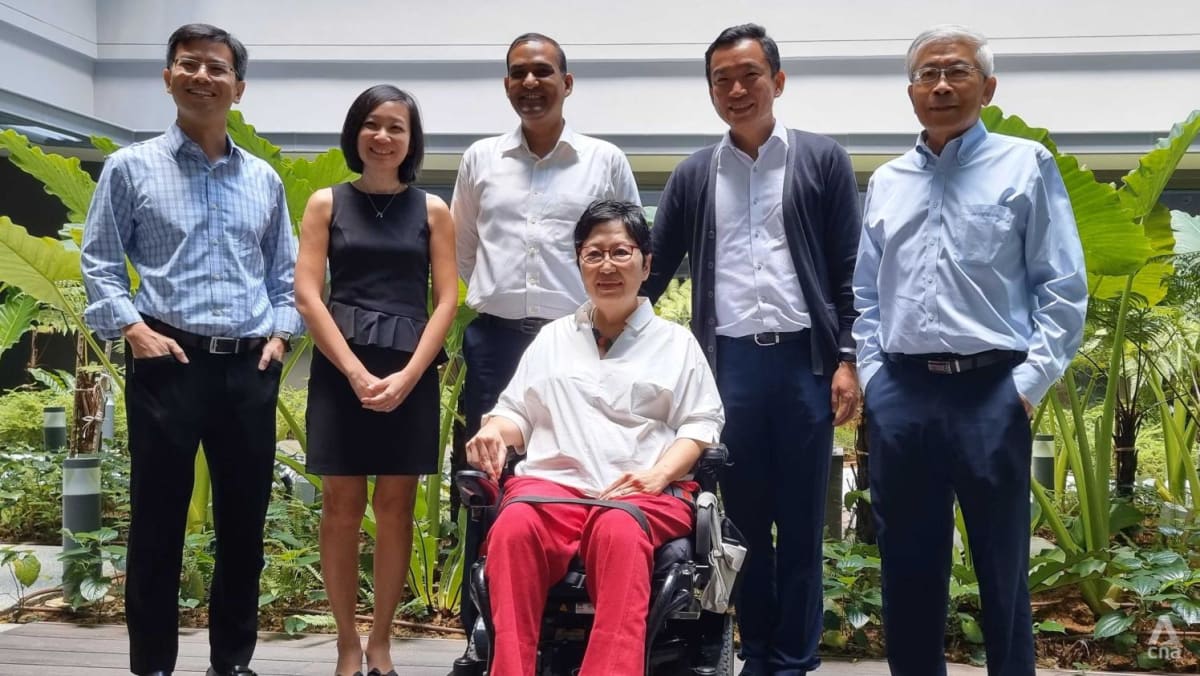 Better accessibility for persons with disabilities set out in Enabling Masterplan for 2030 - CNA ...