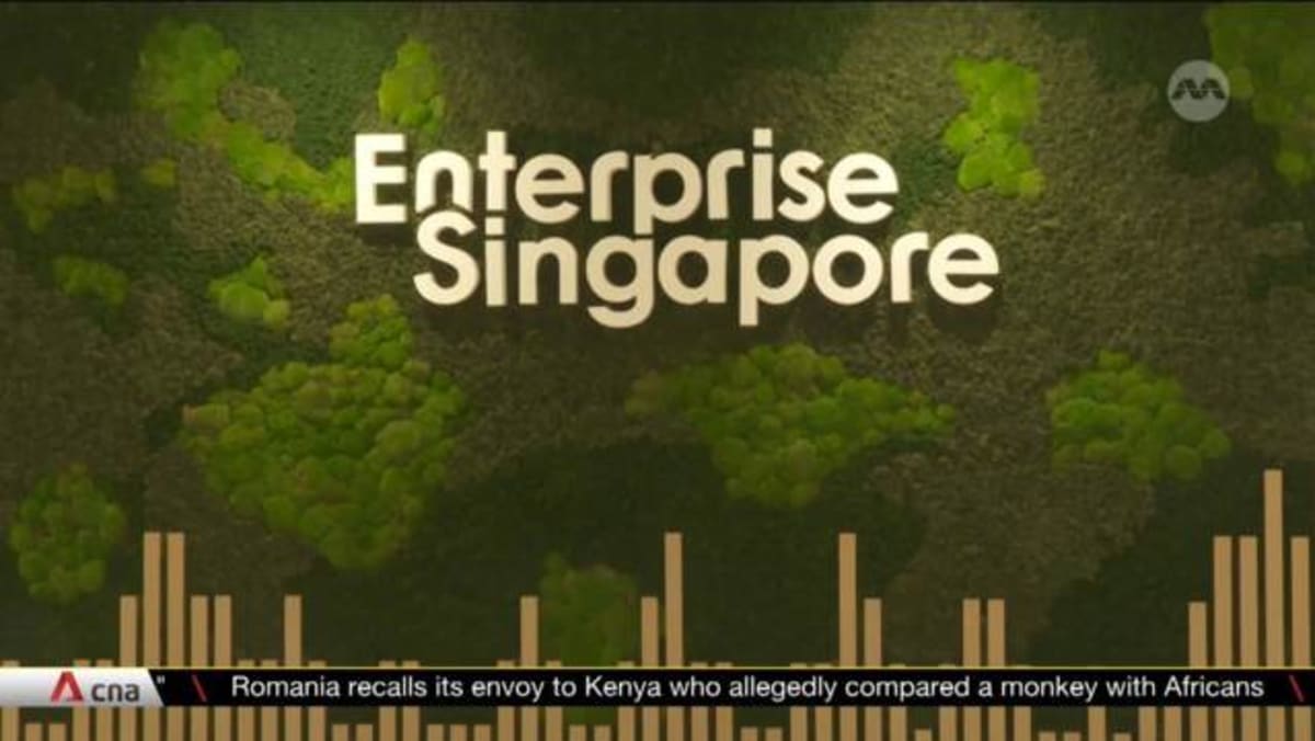 More than 700 firms undergone Enterprise Singapore sustainability programme | Video - CNA