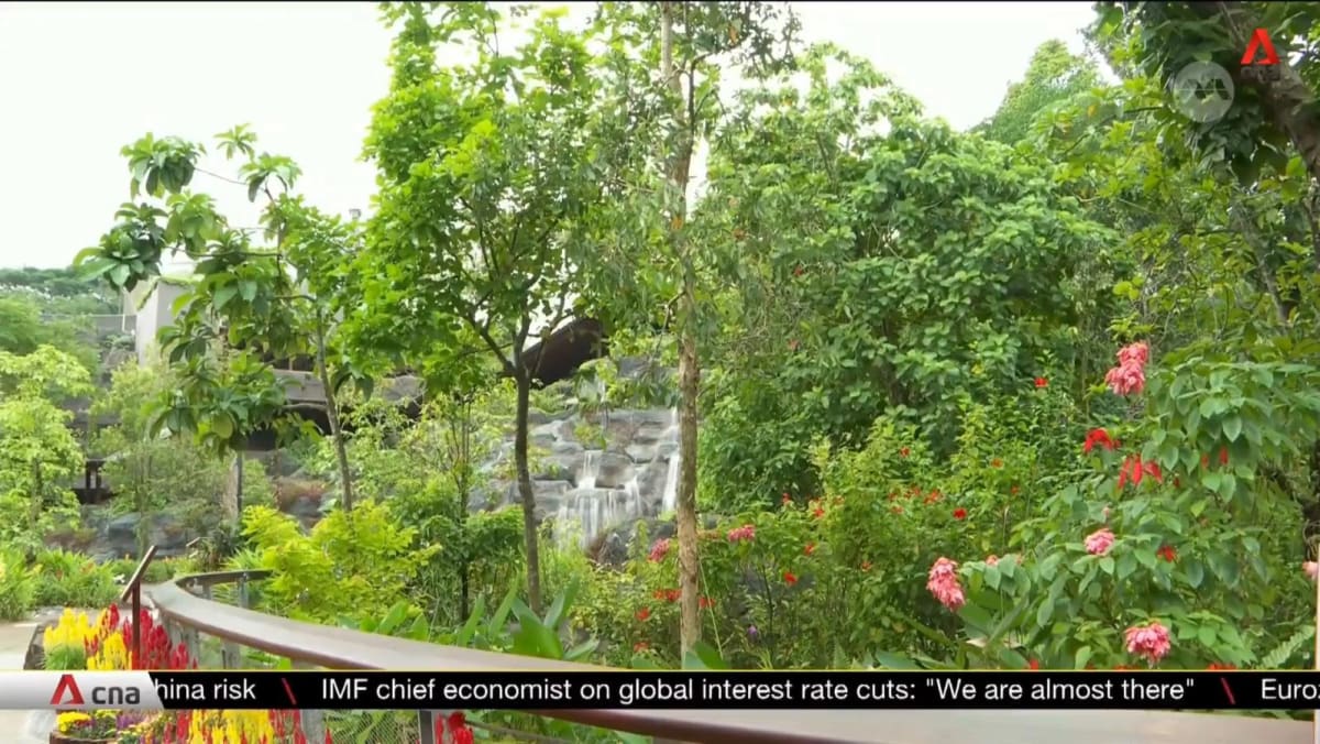 16 projects win top landscaping accolade from NParks | Video - CNA