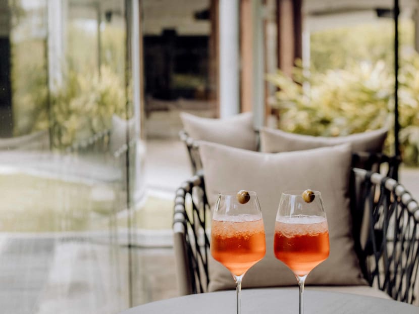 Coconut & Pandan Gelato For You, Beef Popsicle For Your Pup At New ...