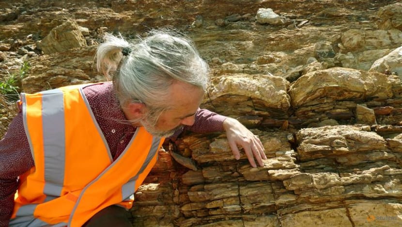 Molecular fossils open window on 'lost world' of primordial life - CNA