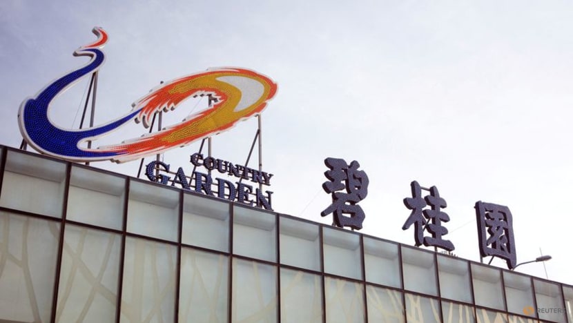 Country Garden says its cash flow shows periodic liquidity stress - CNA