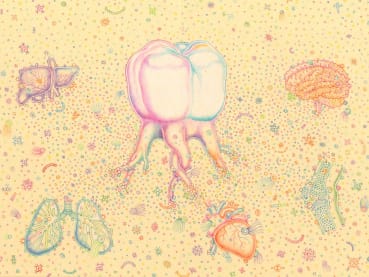 Looi Chee Kit - CNA Lifestyle