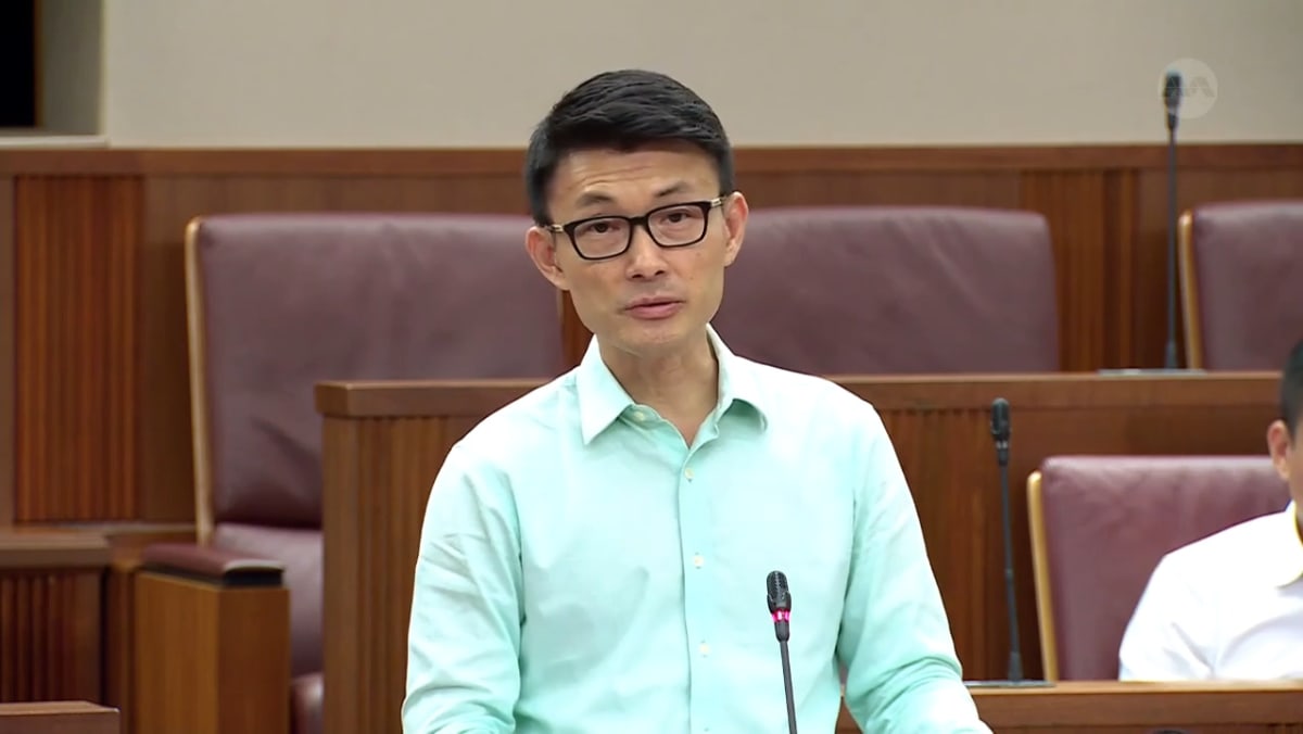 Baey Yam Keng on promoting green-labelled products - CNA