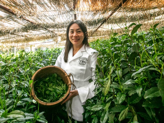 What is Hon-Gyokuro, one of the rarest types of Japanese green tea in ...