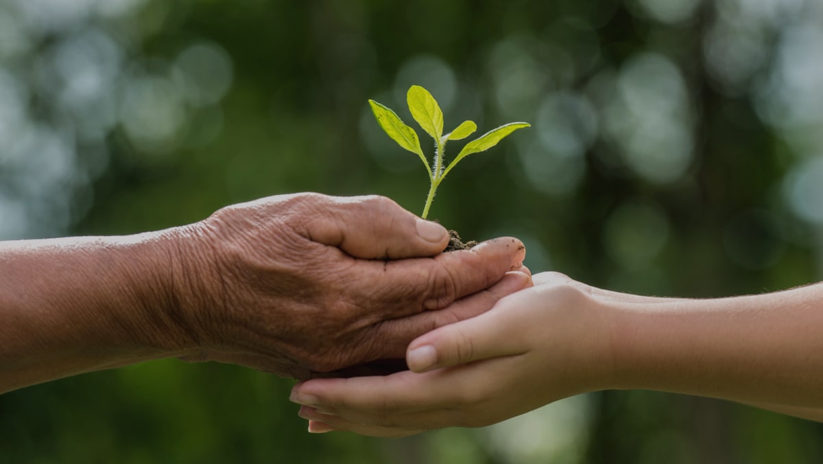 Temasek’s strategic focus on digitisation, sustainable living, future ...