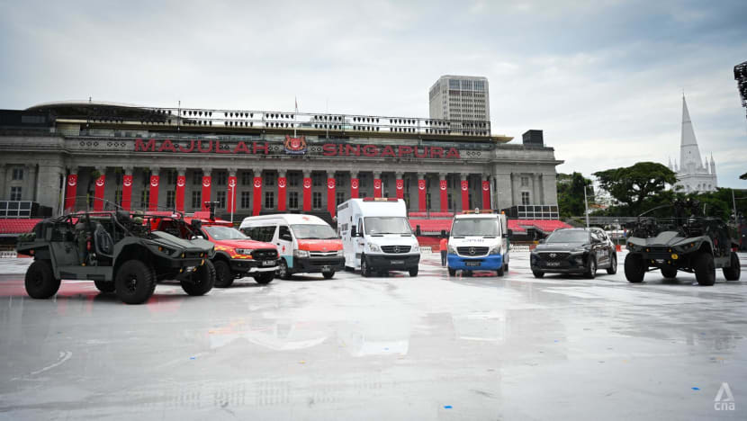 National Day Parade 2024 to feature SAF's new light machine gun, PUB ...