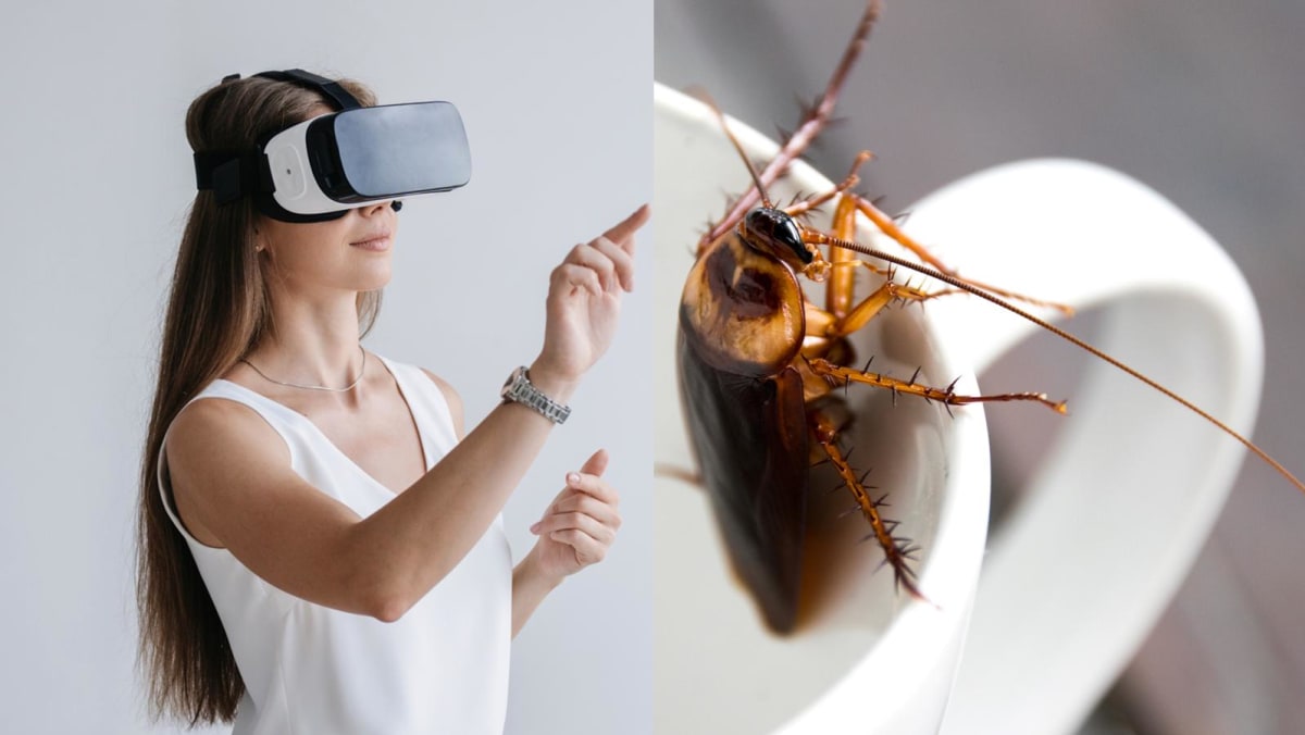 Virtual reality therapy to treat phobias: Is it effective? How does it ...