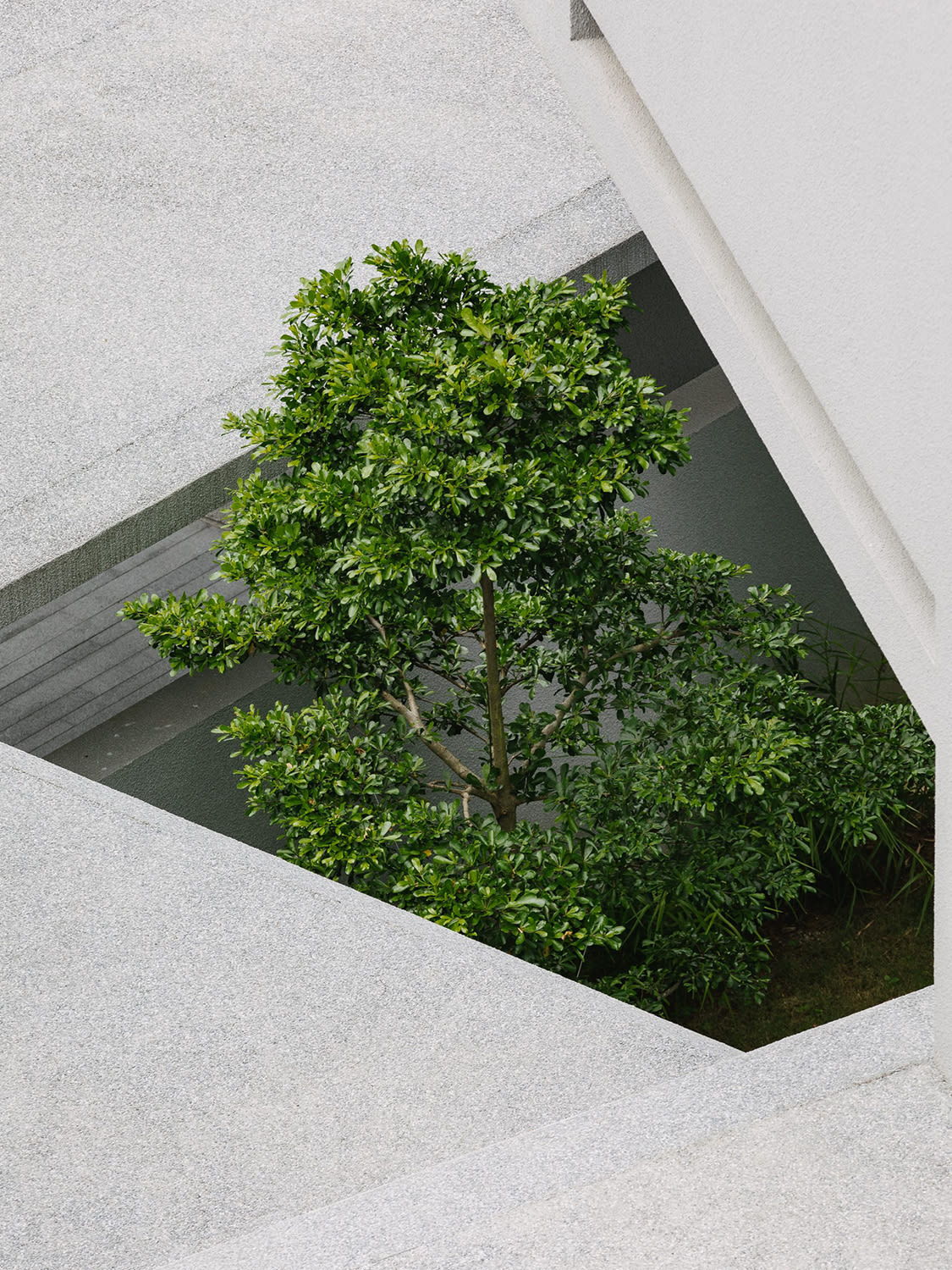 In Singapore, a house with a ‘flying wall’ gives a family much needed ...