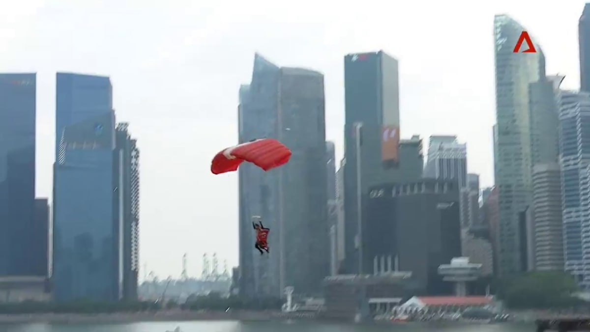 NDP 2018: Red Lions jump from record height | Video - CNA