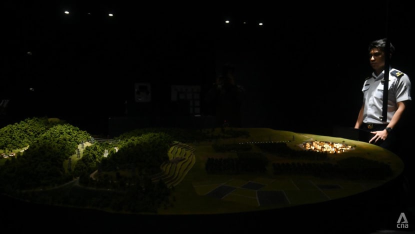 How air force pilots beat bad eyesight to guard Singapore's skies - CNA