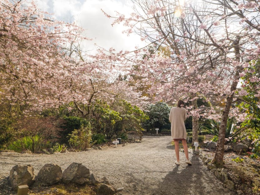 4 reasons why a springtime visit to New Zealand should be on your ...