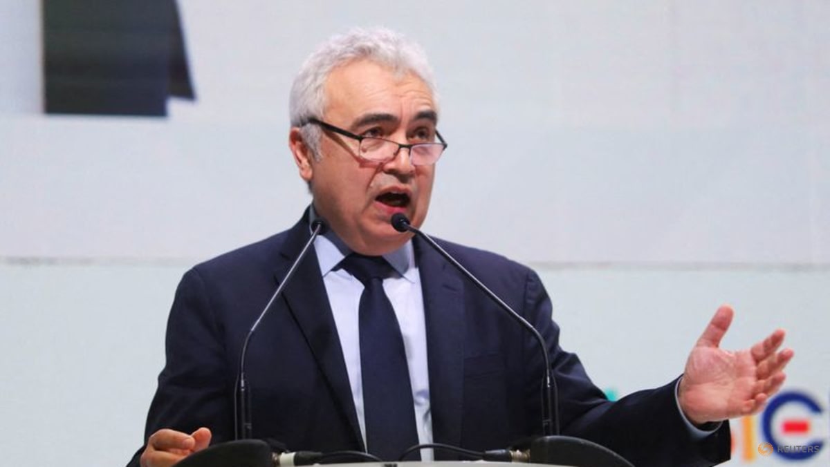 Energy crisis sparked by Ukraine war to speed up green transition -IEA ...
