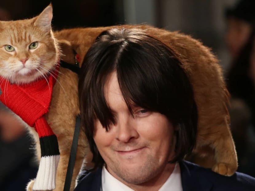 Bob The Cat, The Star Of A Street Cat Named Bob Books & Movies, Dead At ...