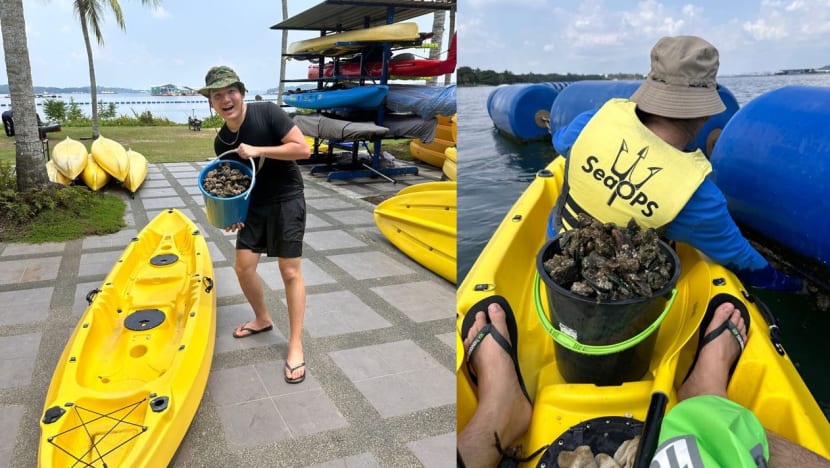 'Crab condos': How this man is making crab farming a reality in ...