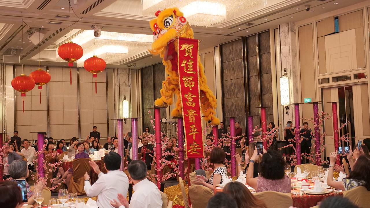 MEDIACORP LUNAR NEW YEAR 2019 - Mediacorp