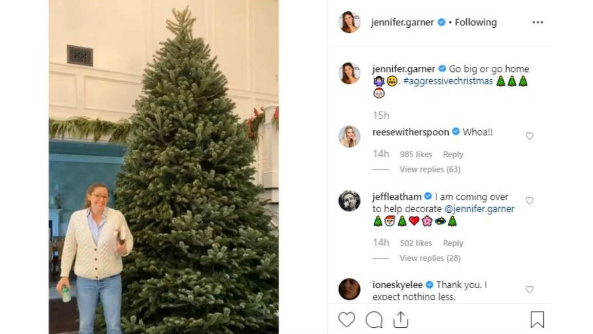 Jennifer Garden's aggressive Christmas tree - 8days