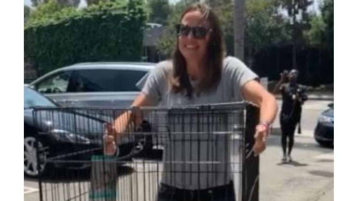 Jennifer Garner's chicken has died - 8days