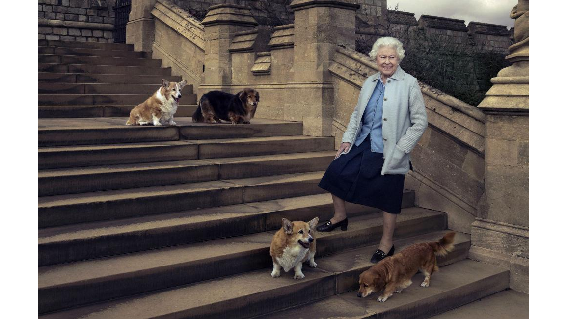 Queen Elizabeth's last corgi passes away - 8days