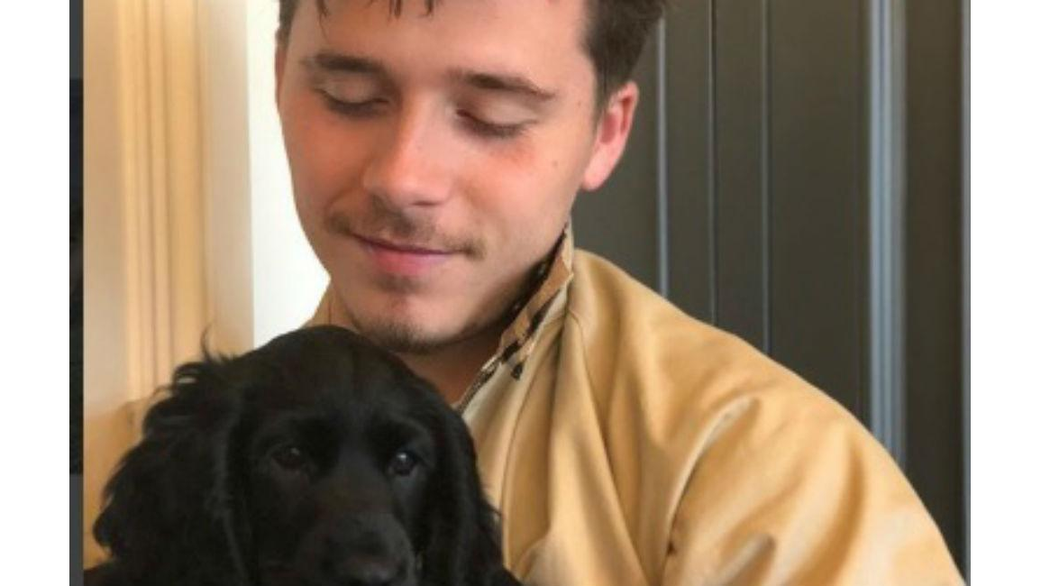 Brooklyn Beckham's new dog - 8days