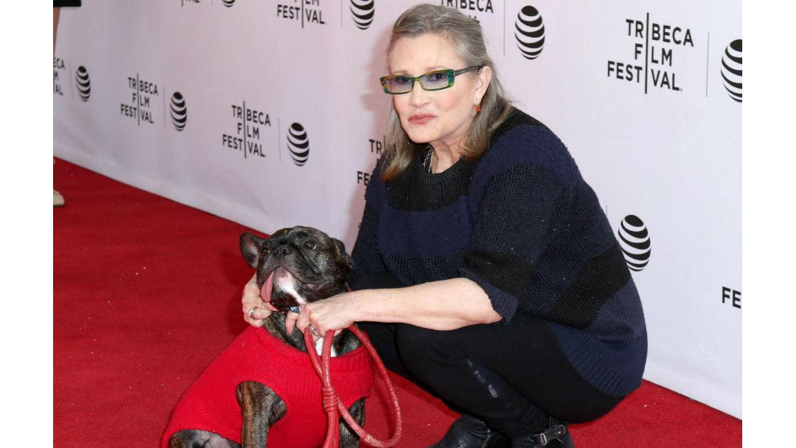 Carrie Fisher's dog loved Star Wars: The Last Jedi - 8days